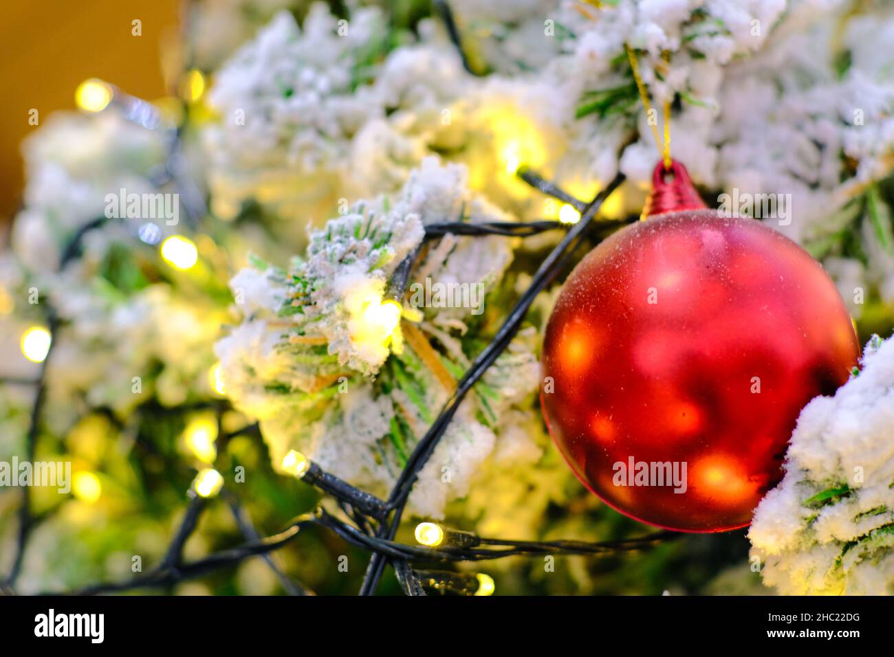 Christmas ball on pine tree brach with bokeh blurred of warm light ...