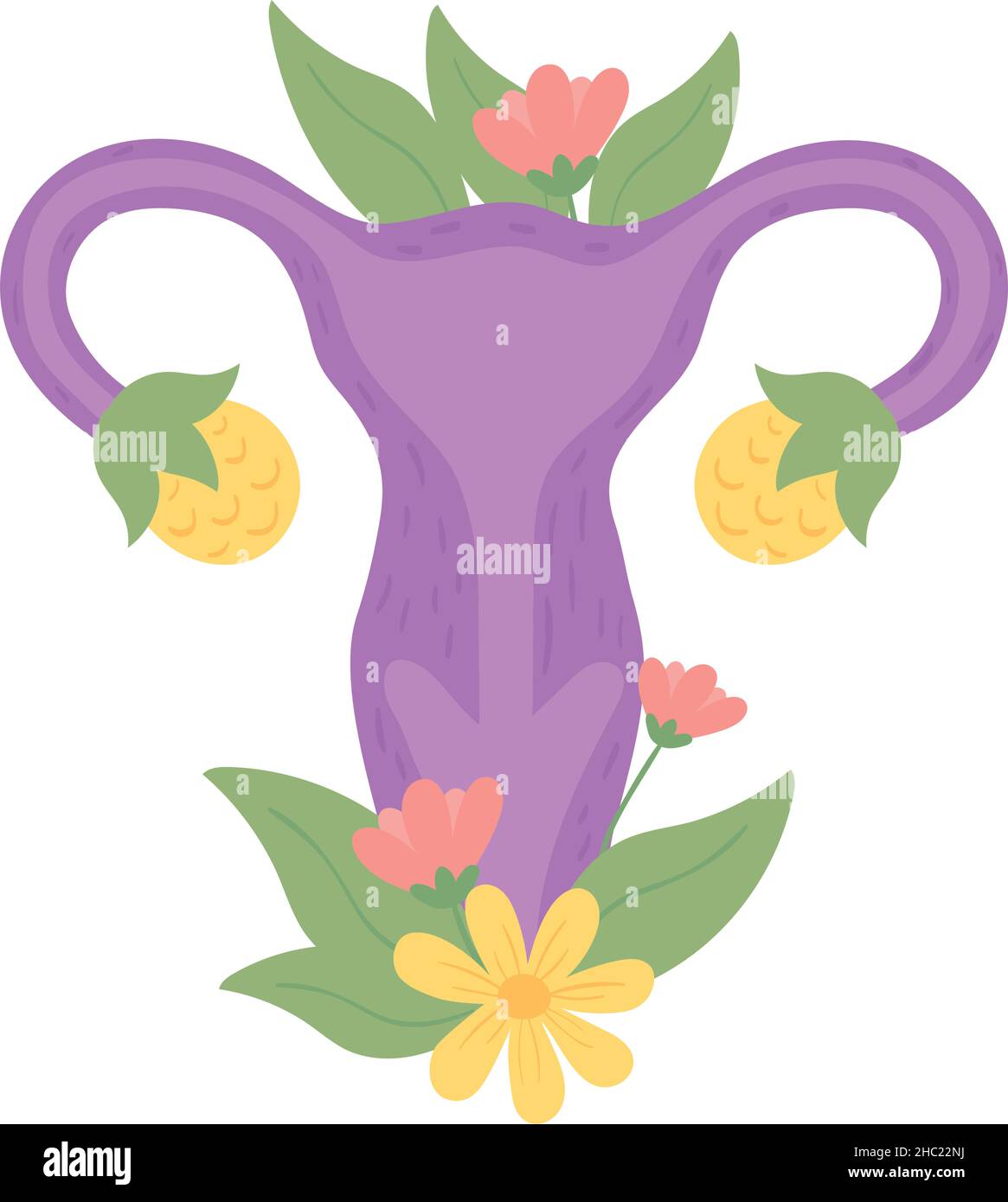 Female reproductive part Stock Vector Images - Alamy