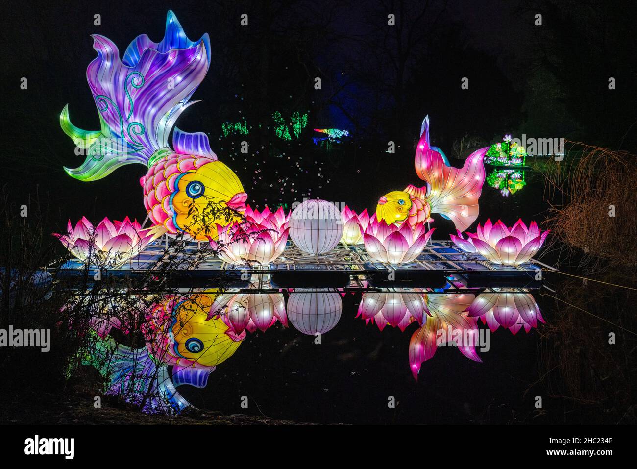 View of colorful fish lit up at a pond in Lightopia London Stock Photo ...