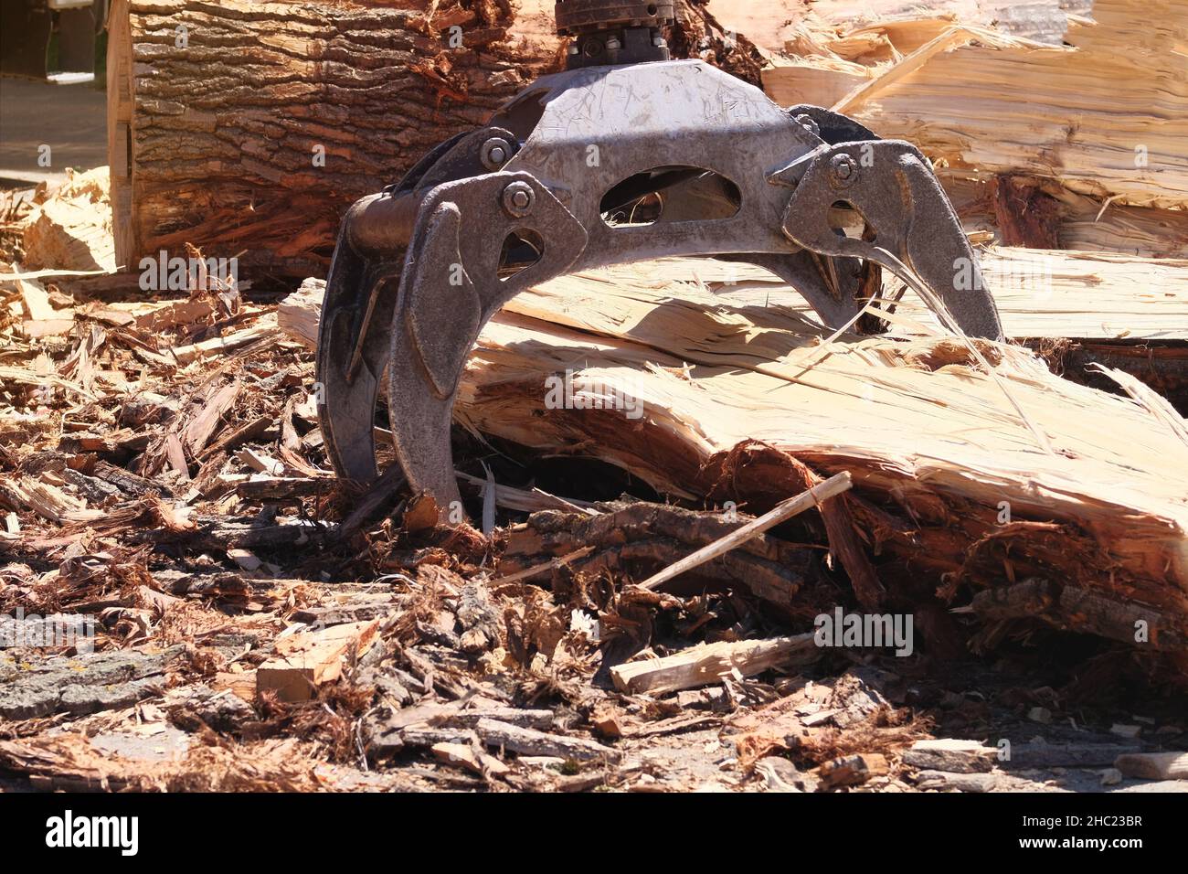 Heavy duty vehicle moving logs at a sawmill. Log loader moves stack of ...