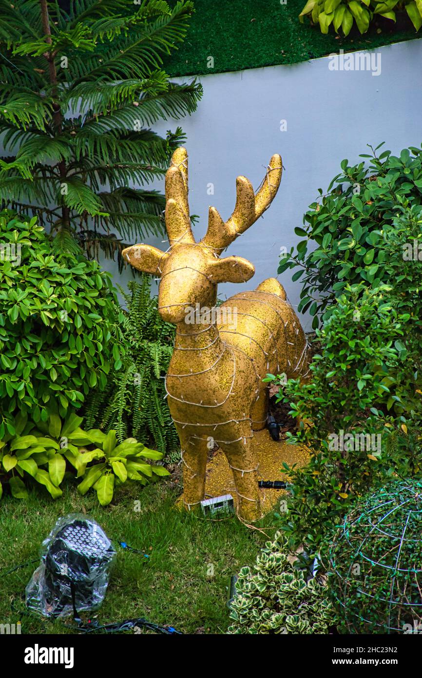 Dear embassy hi-res stock photography and images - Alamy