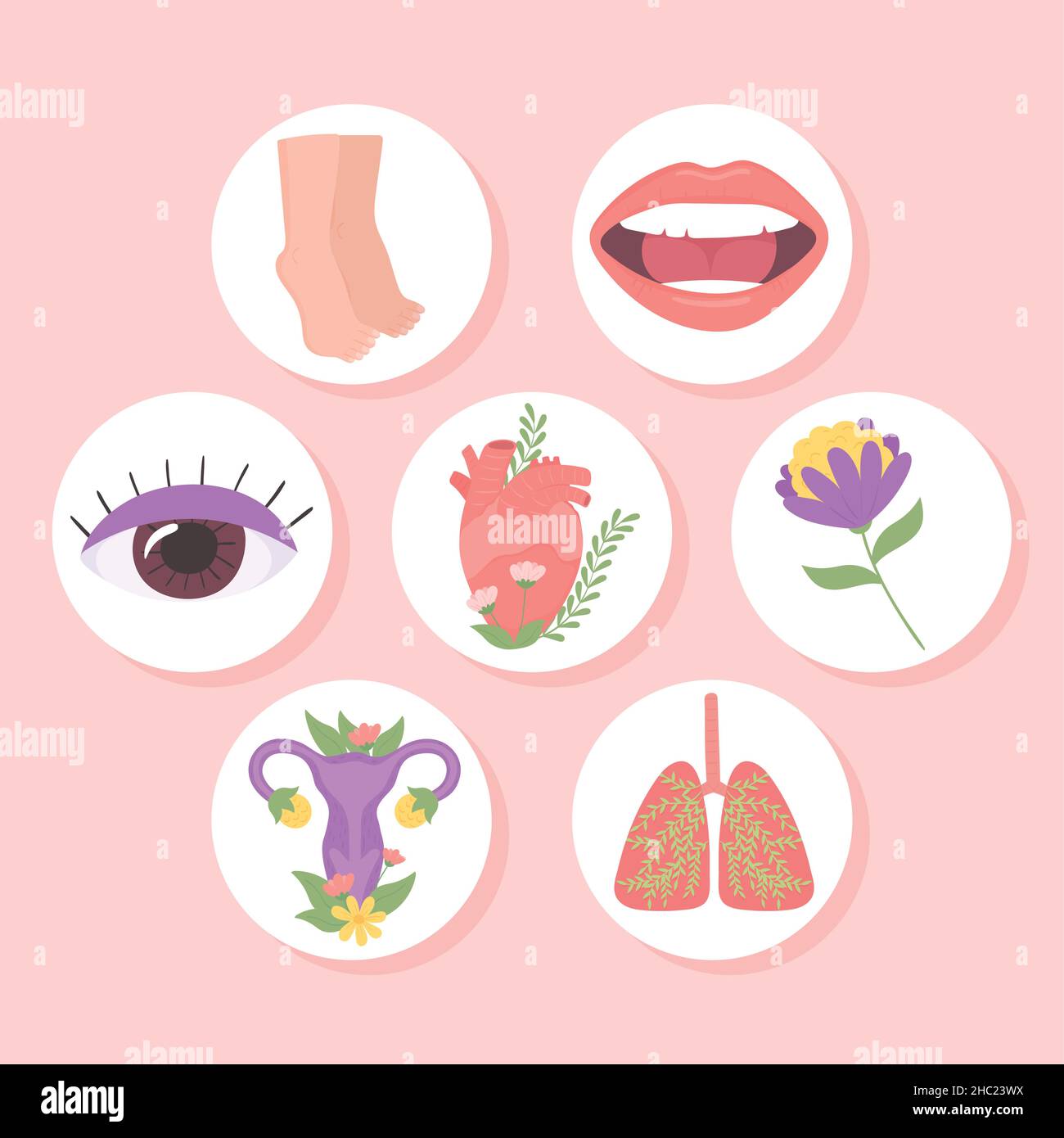set of human body parts Stock Vector Image & Art - Alamy