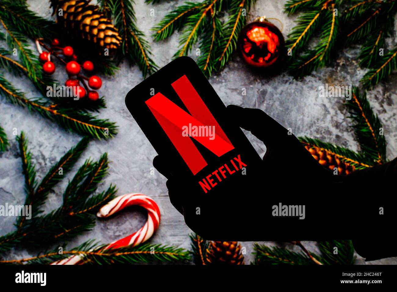 In this photo illustration a Netflix logo seen displayed on a ...