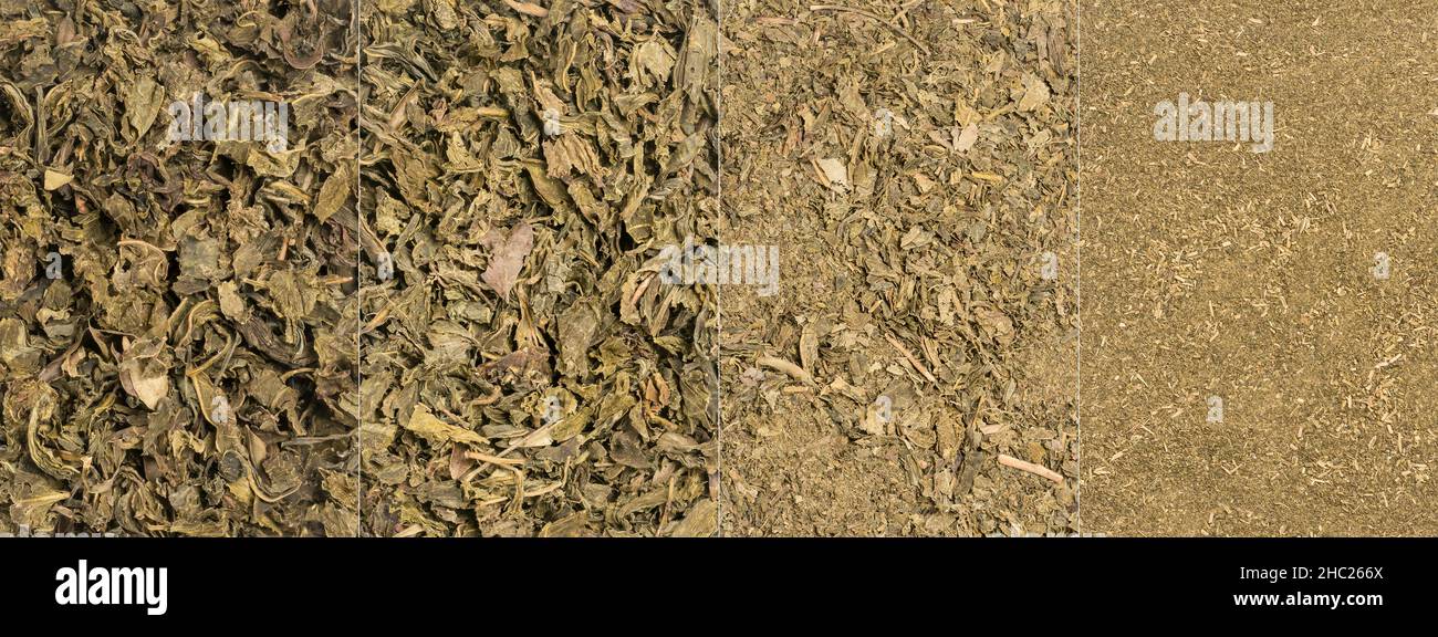 They improve nutrient recycling and soil hi-res stock photography and images - Alamy