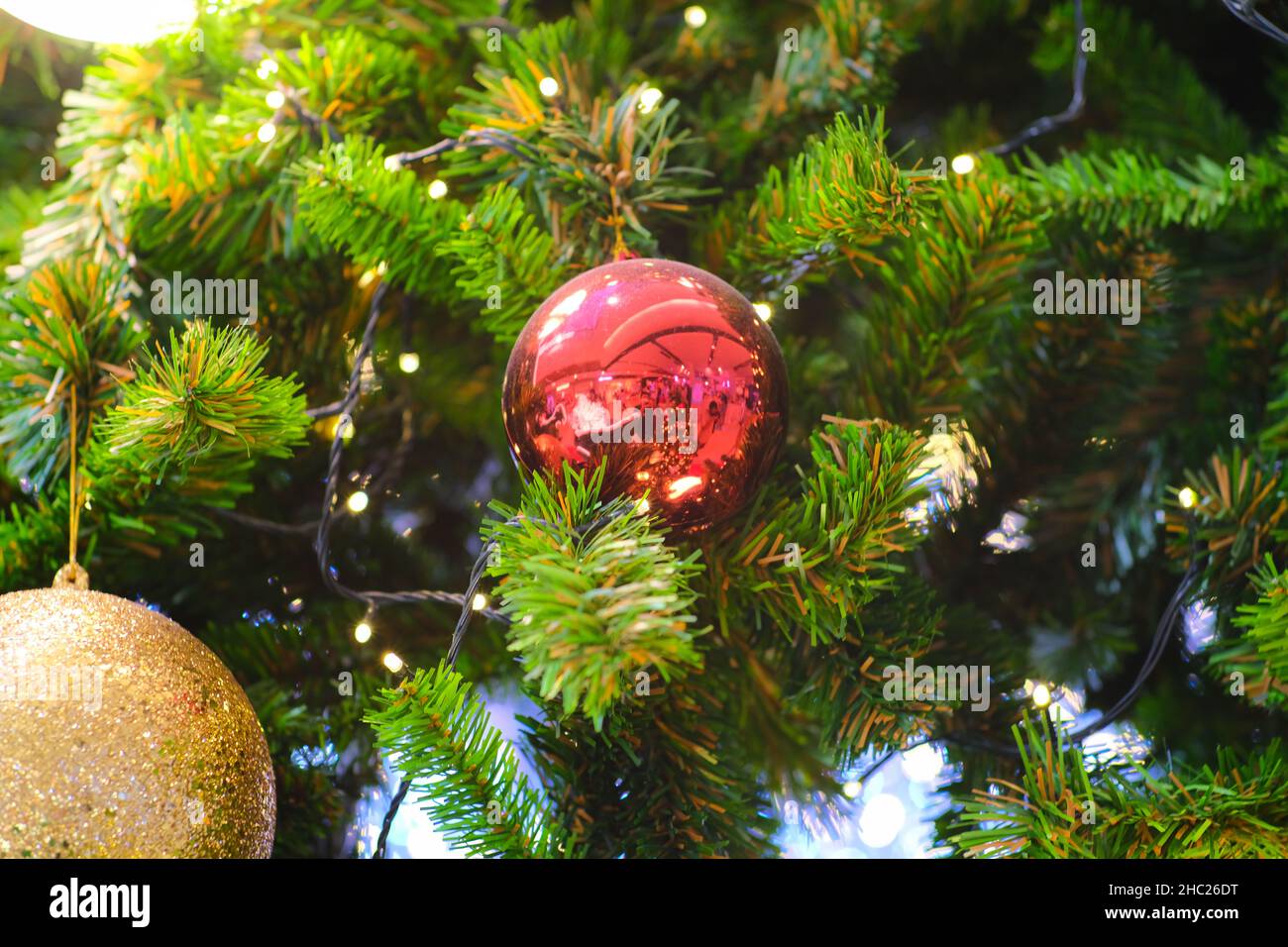 Red luxury christmas ball on pine tree branch Xmas festival Stock Photo ...