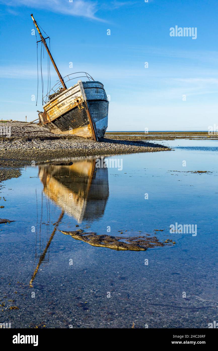 The "Calou" shipwreck on a clear summer morning on Anticosti island, an ...