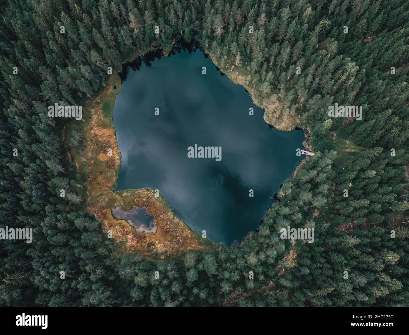 Aerial view of the small pond in the middle of forest. A small dock on ...