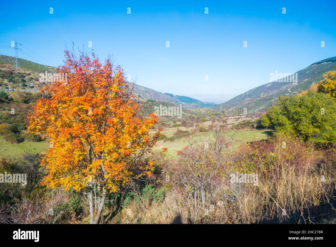 Landscape. Somosierra, Madrid province, Spain Stock Photo - Alamy