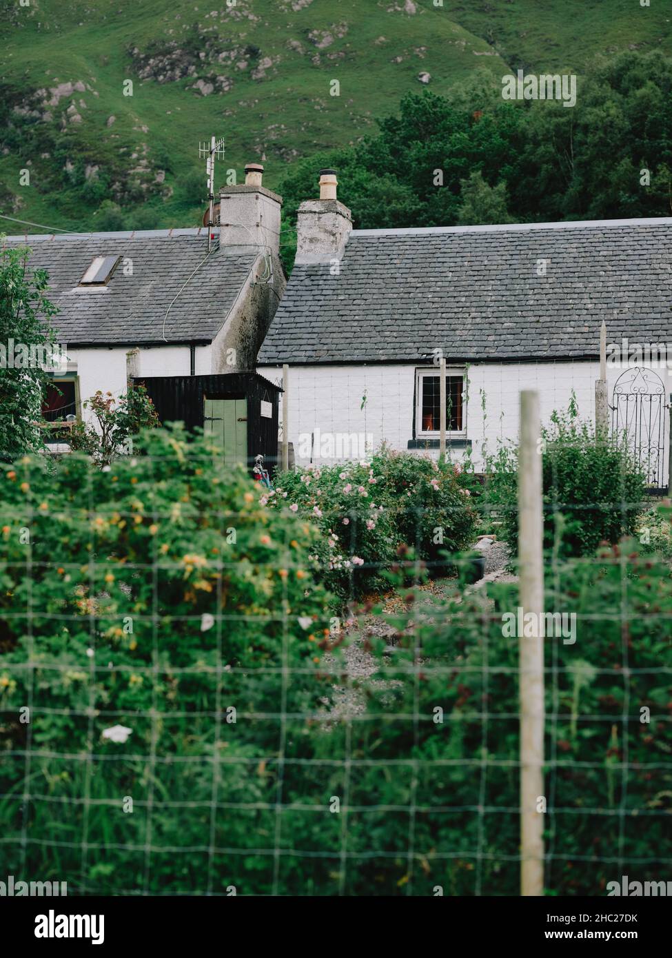 The gardens and white croft cottage architecture of the small Loch ...