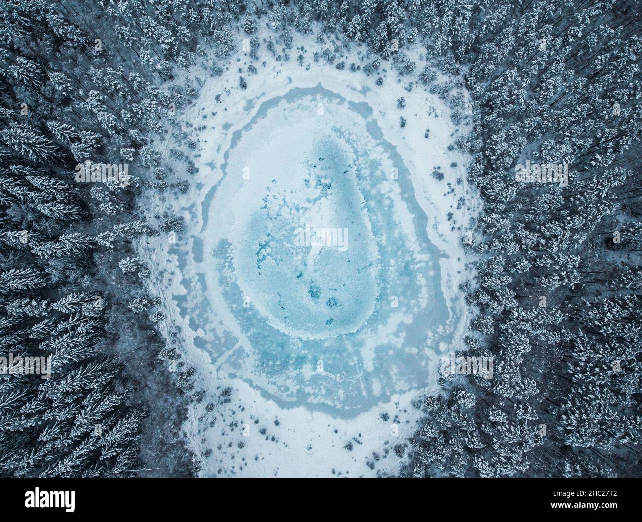 Aerial view of frozen pond in the middle of winter forest. Drone ...