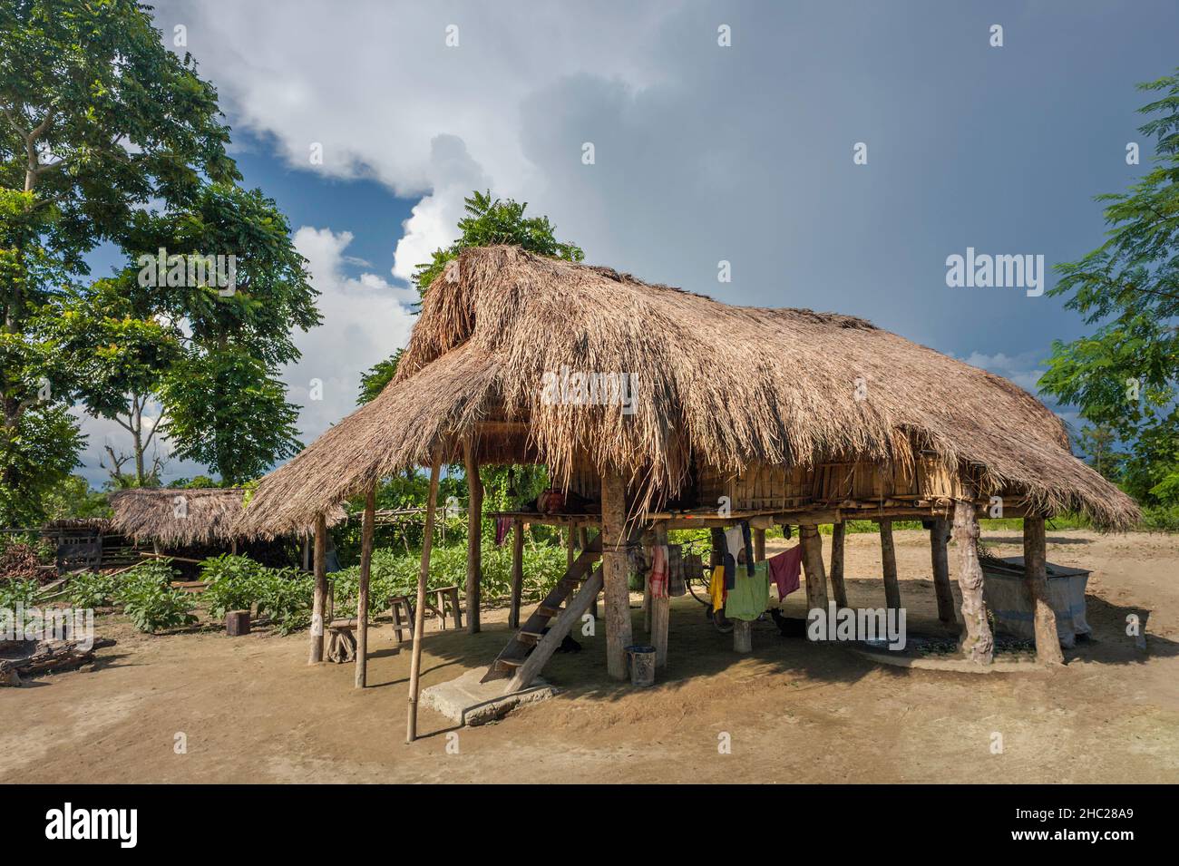 Thatched hut on stilts of the Mising (aka Mishing) tribe flanked by ...
