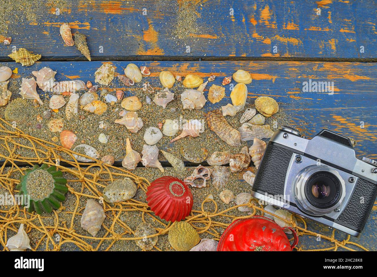 Sea shells on a blue background. Summer traveling time. Sea holiday ...