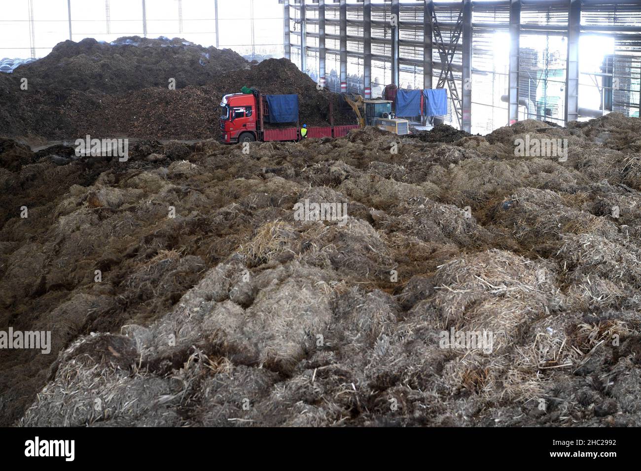 Electricity plant burning waste hi-res stock photography and images - Alamy
