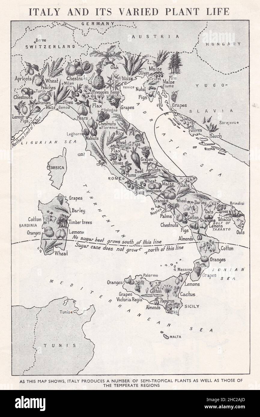 Italy Map Map Of Italy 1930 S Italy Vintage Italy Map Etsy Il 1588xN ...