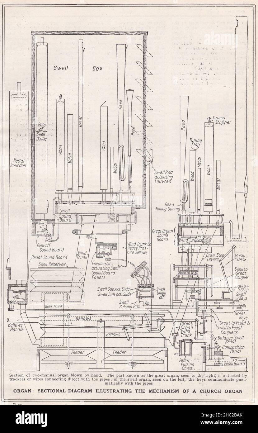 Pipe Organ Diagram Sale Now | www.pinnaxis.com