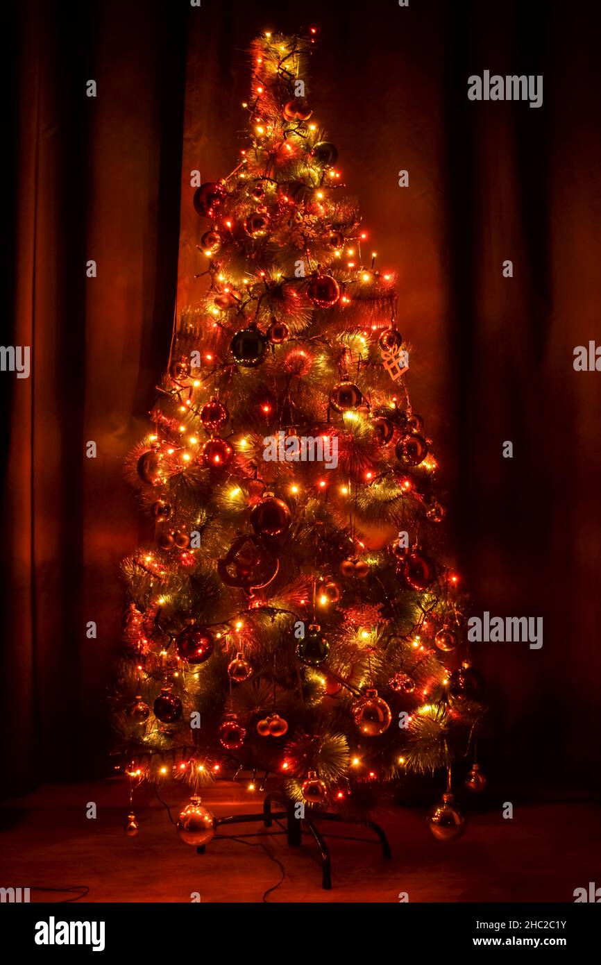 Ok tree hi-res stock photography and images - Alamy