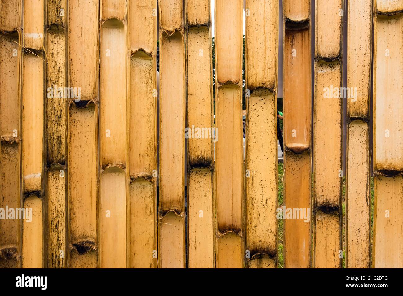 Old brown tone bamboo simple wall or Bamboo fence texture background ...