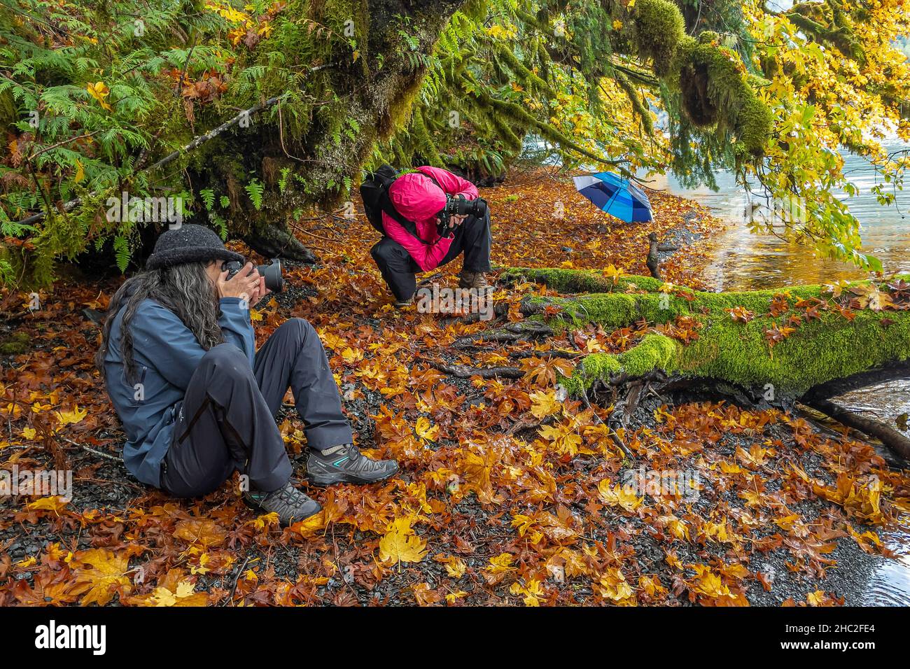 Photographers capture the autumn colors in the forest along the streams ...