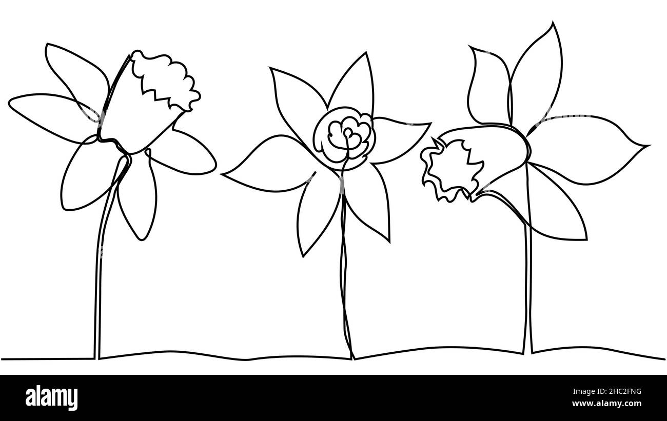 One single line drawing of beauty fresh narcissus for garden. Printable ...