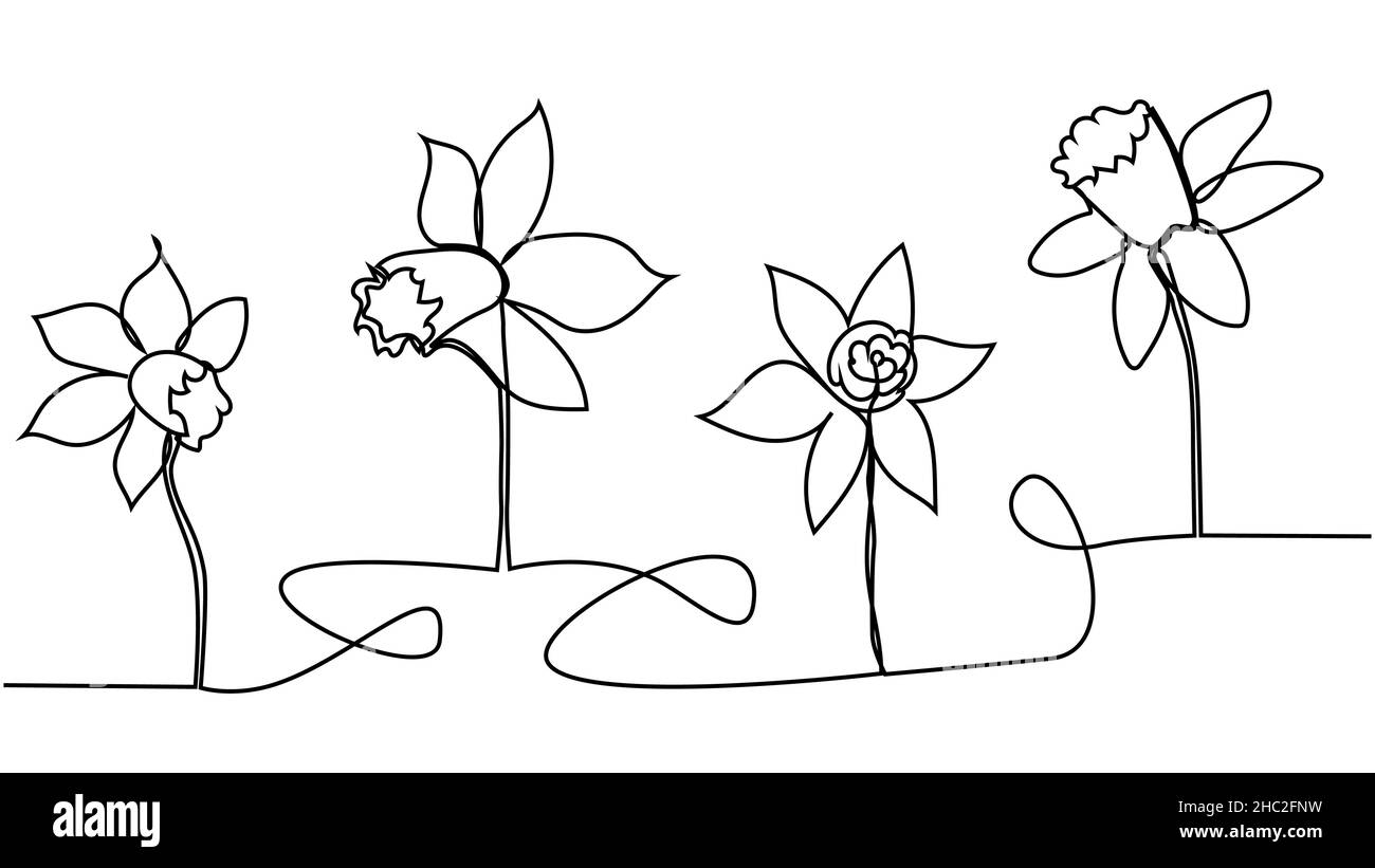 One single line drawing of beauty fresh narcissus for garden. Printable ...