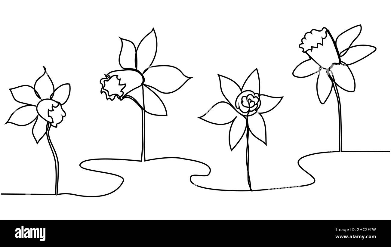 One single line drawing of beauty fresh narcissus for garden. Printable ...