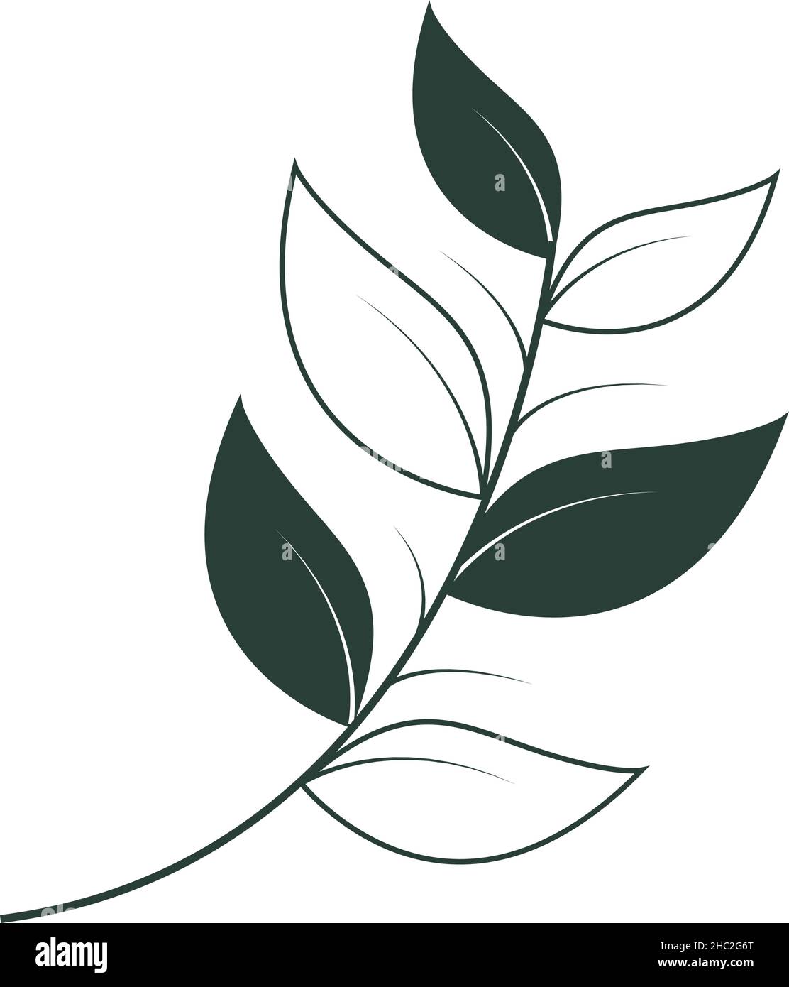 delicate leaves plant Stock Vector Image & Art - Alamy