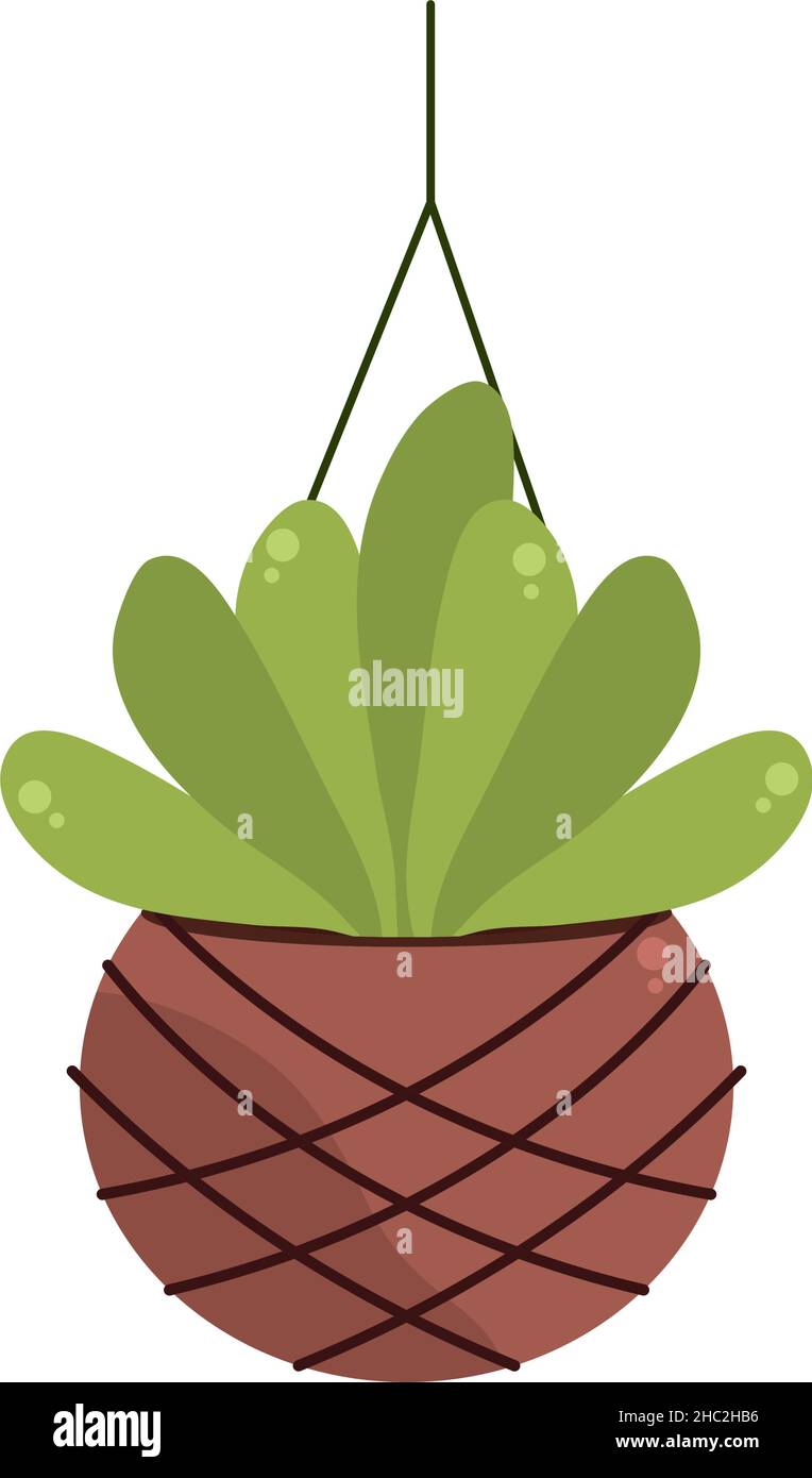 hanging succulent plant Stock Vector Image & Art - Alamy