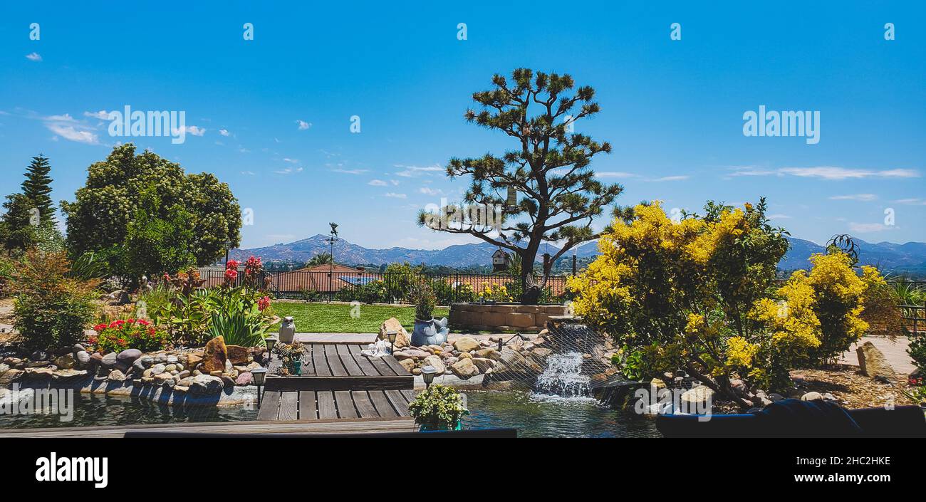 Landscape design of KOi pond and garden in backyard southern Califonia ...