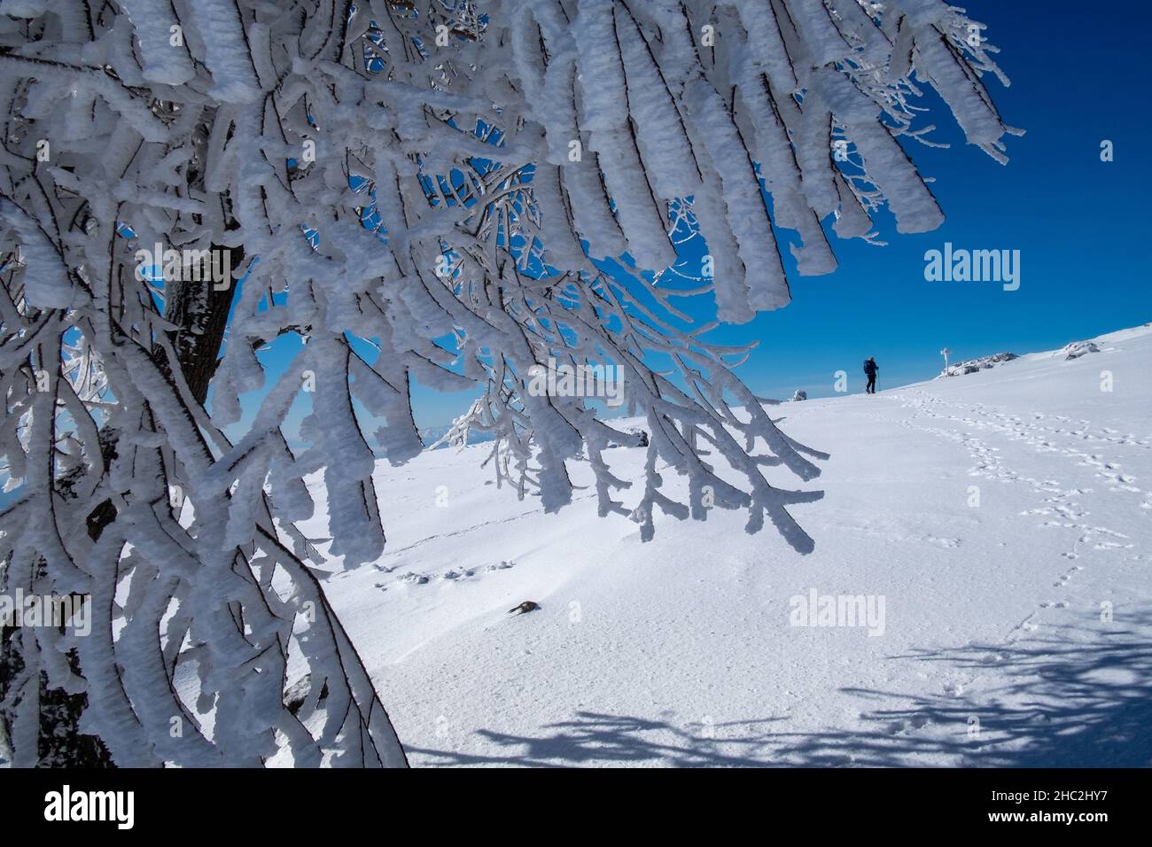snow landscape with human traces and signs Stock Photo - Alamy