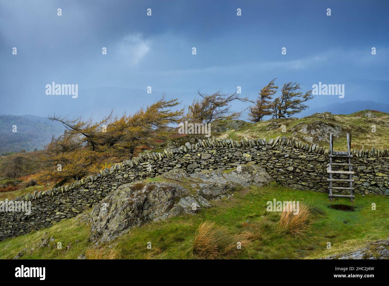 Ladder stile over a dry stone wall hi-res stock photography and images ...