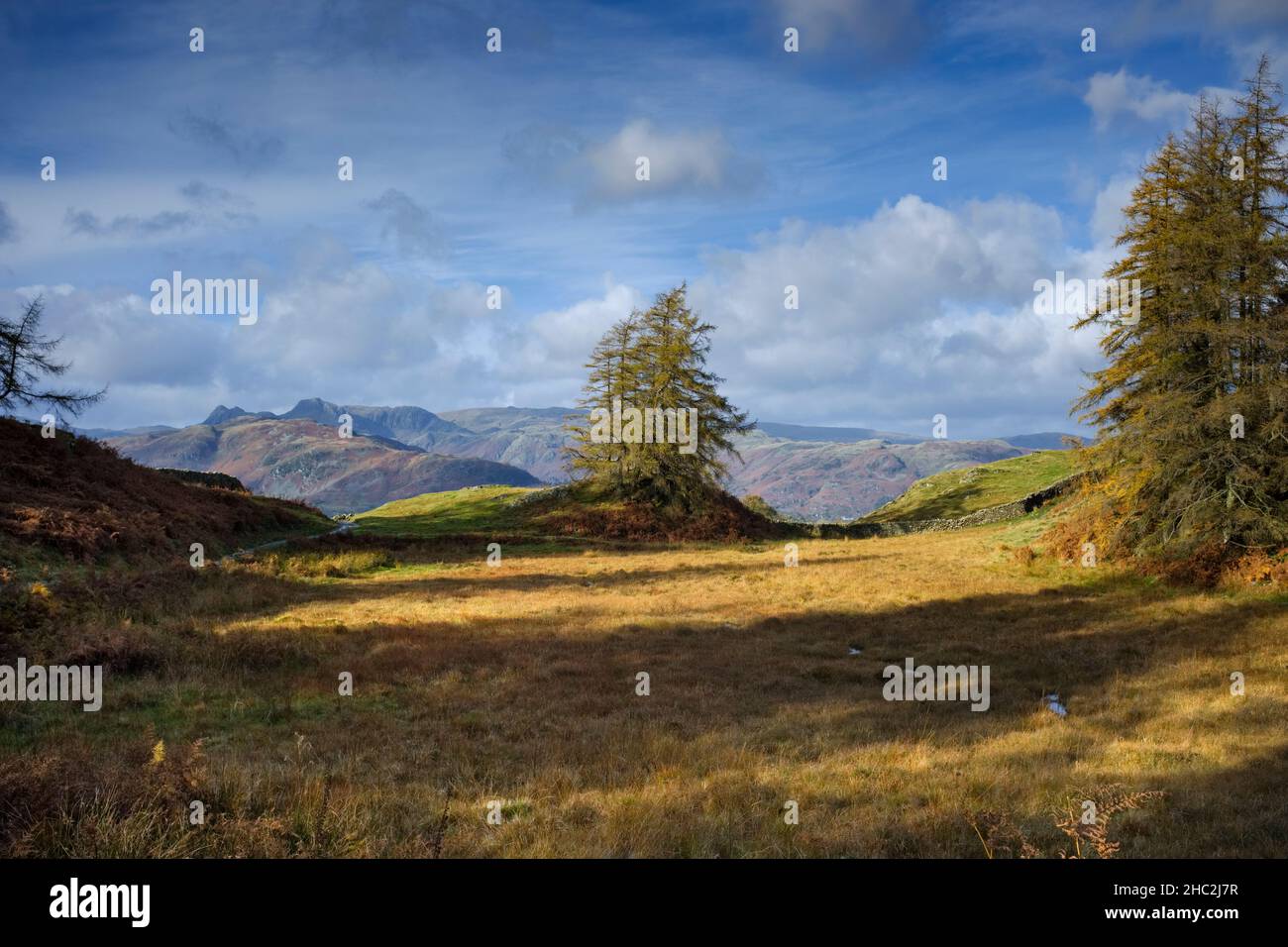 Bog iron hi-res stock photography and images - Alamy