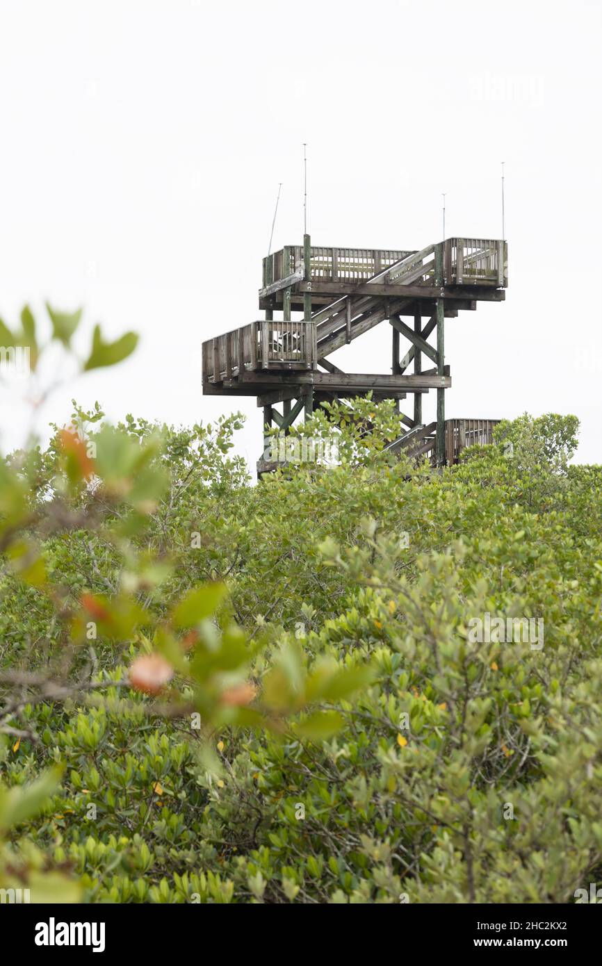 The observation tower at Weedon Island Preserve in St. Petersburg ...