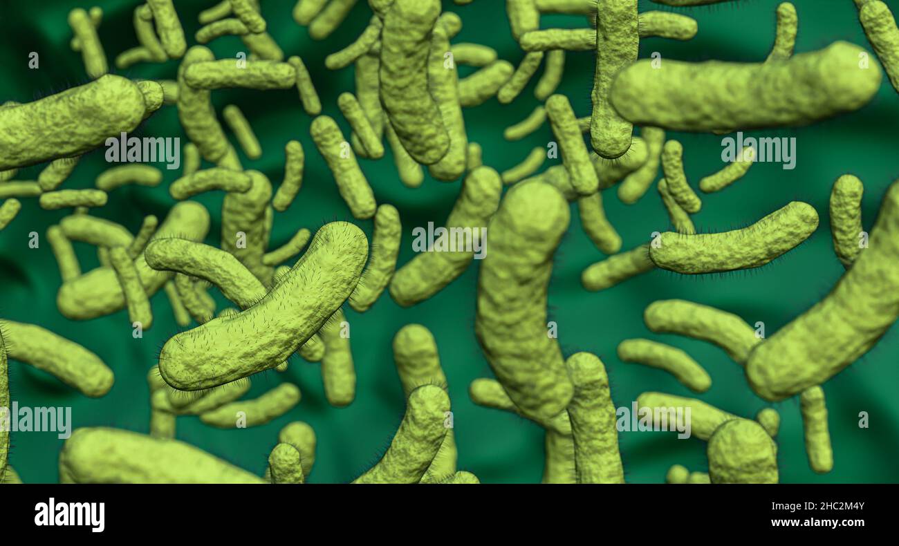 Bacteria, green bacterium, germs,3D illustration Stock Photo - Alamy