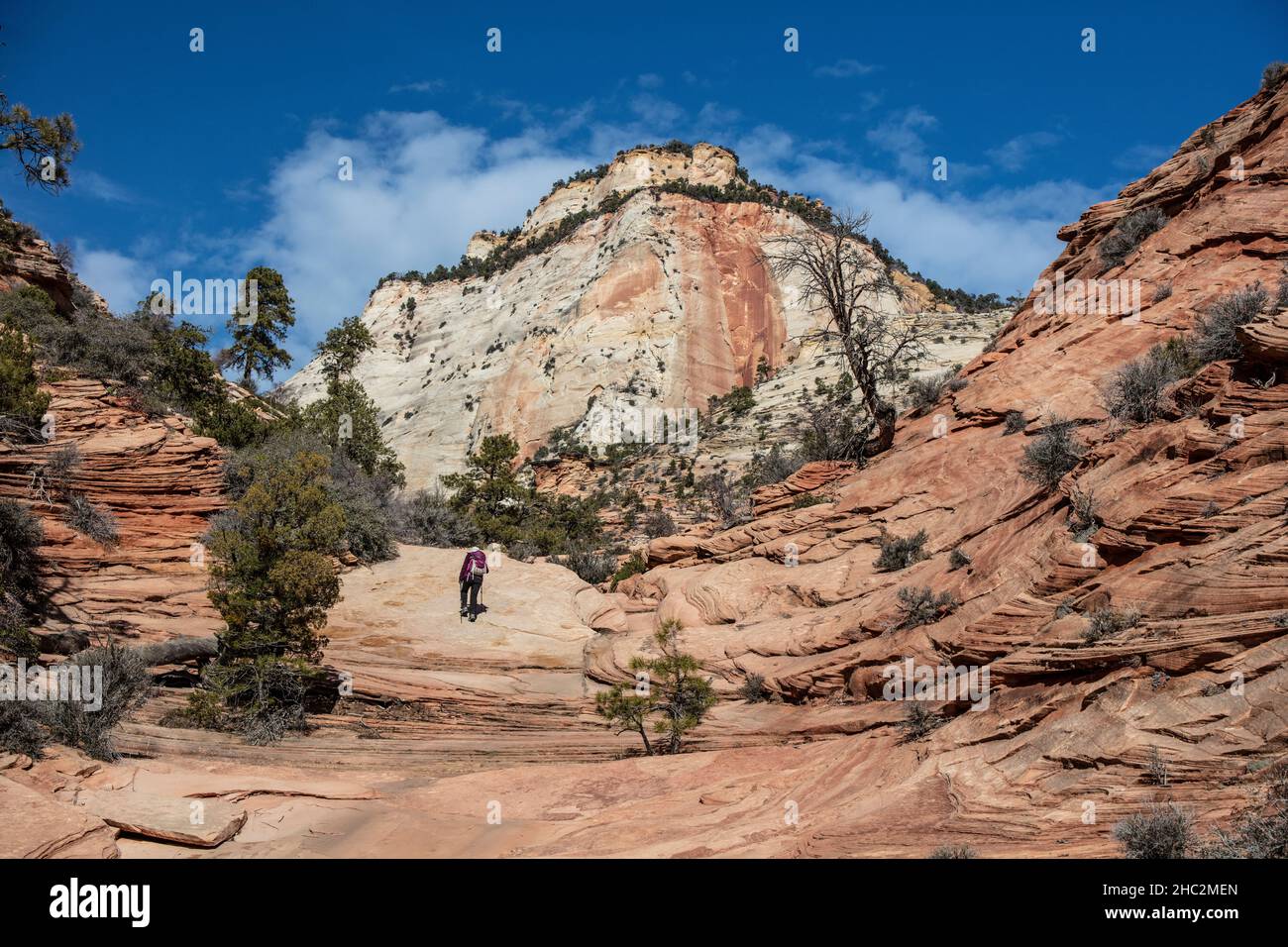 Zion National Park wilderness area - the Many Pools Valley Stock Photo ...