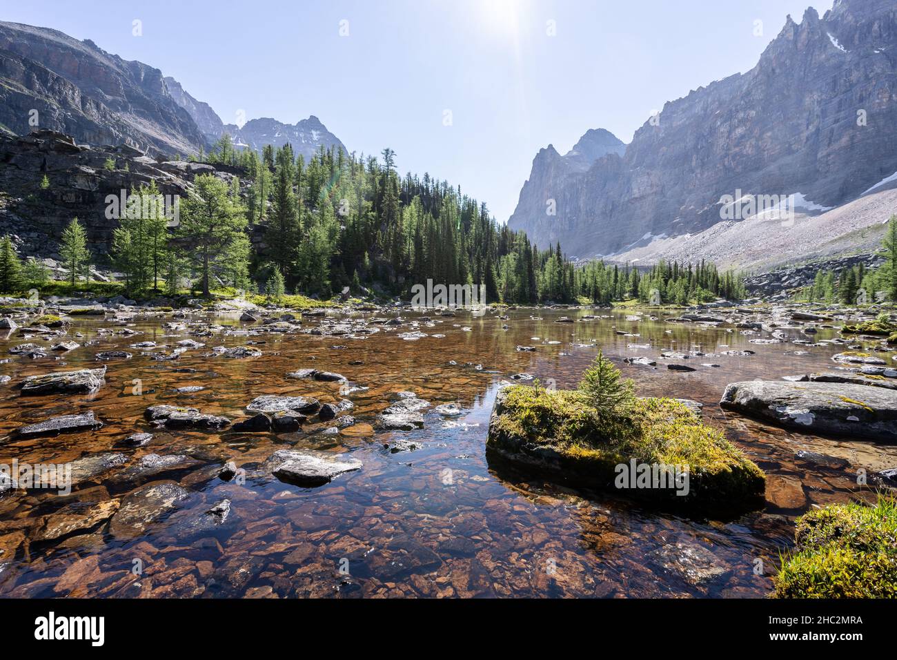 Shallow alpine lake with mountains and forest, Canada Stock Photo - Alamy