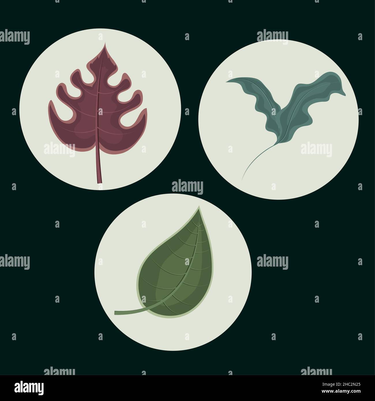 round icons with leaves Stock Vector Image & Art - Alamy