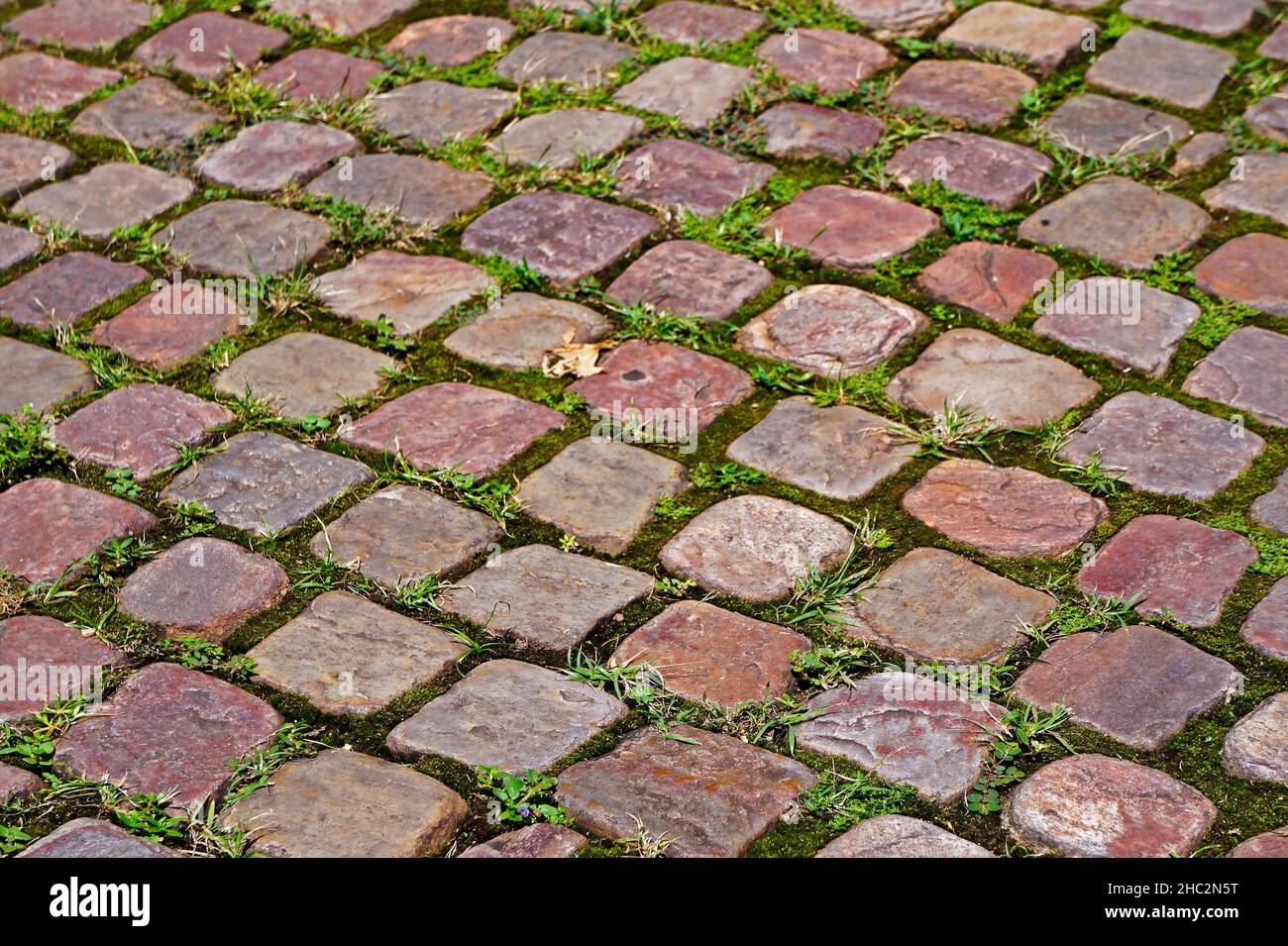 Rough cobblestone pavement moss texture hi-res stock photography and ...