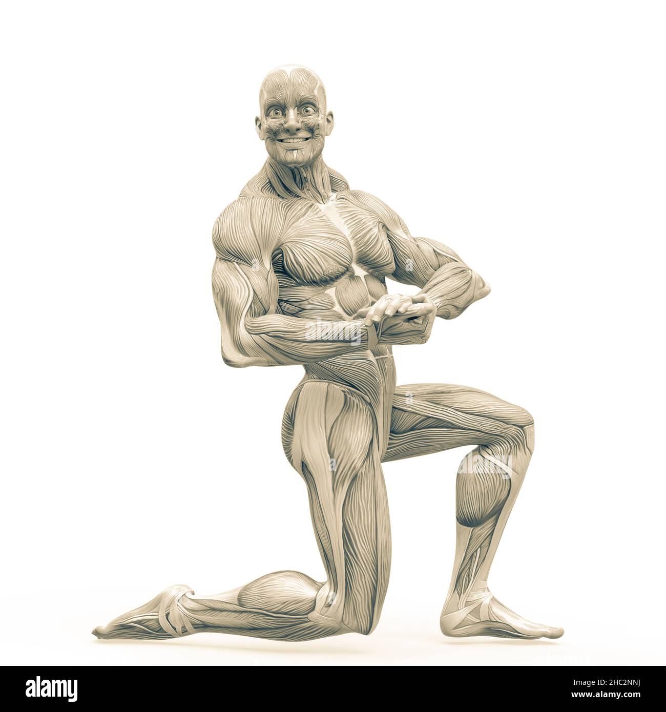 muscleman anatomy heroic body doing a bodybuilder pose five in white ...