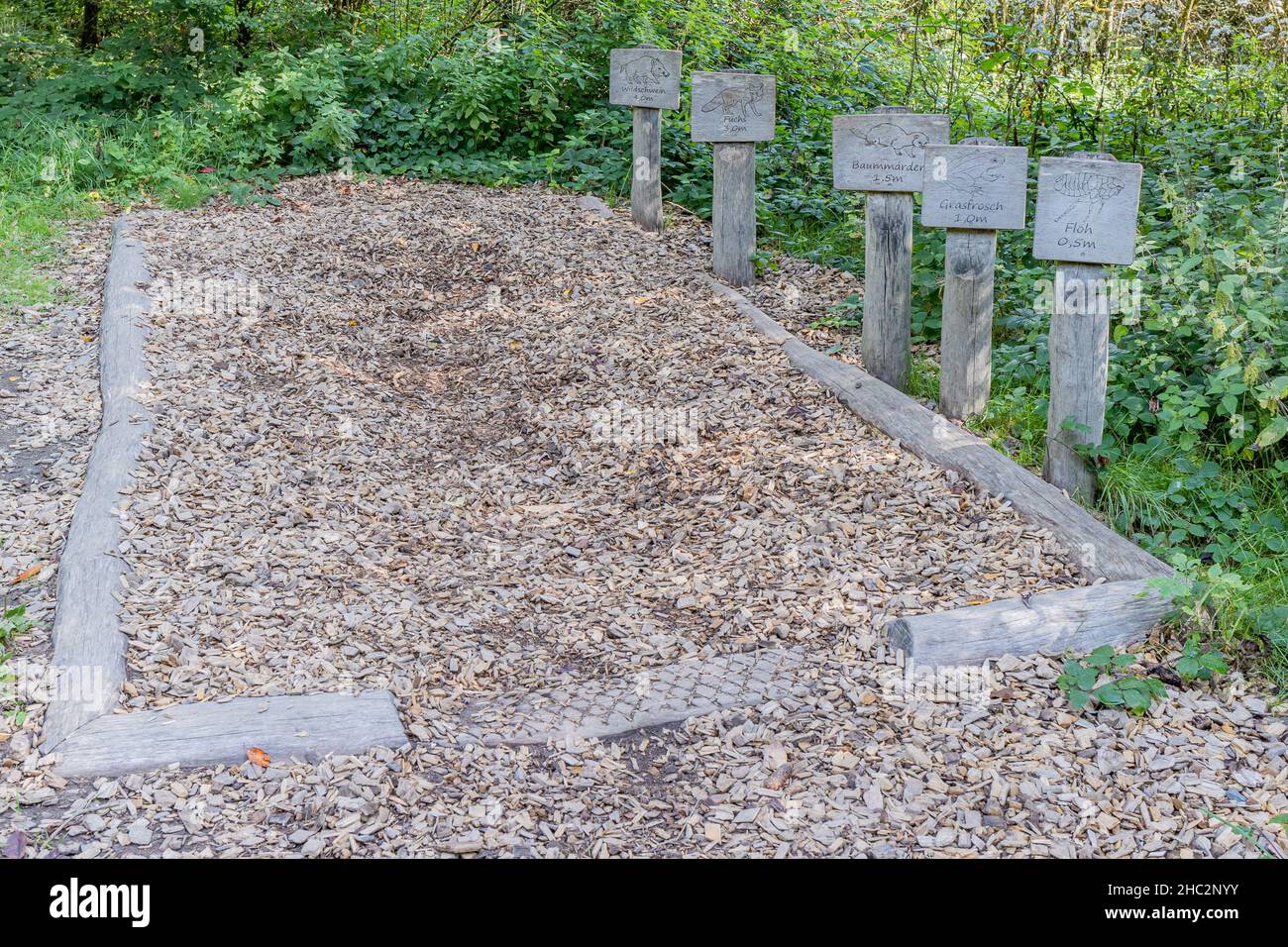 Long jump sand pit on hi-res stock photography and images - Alamy