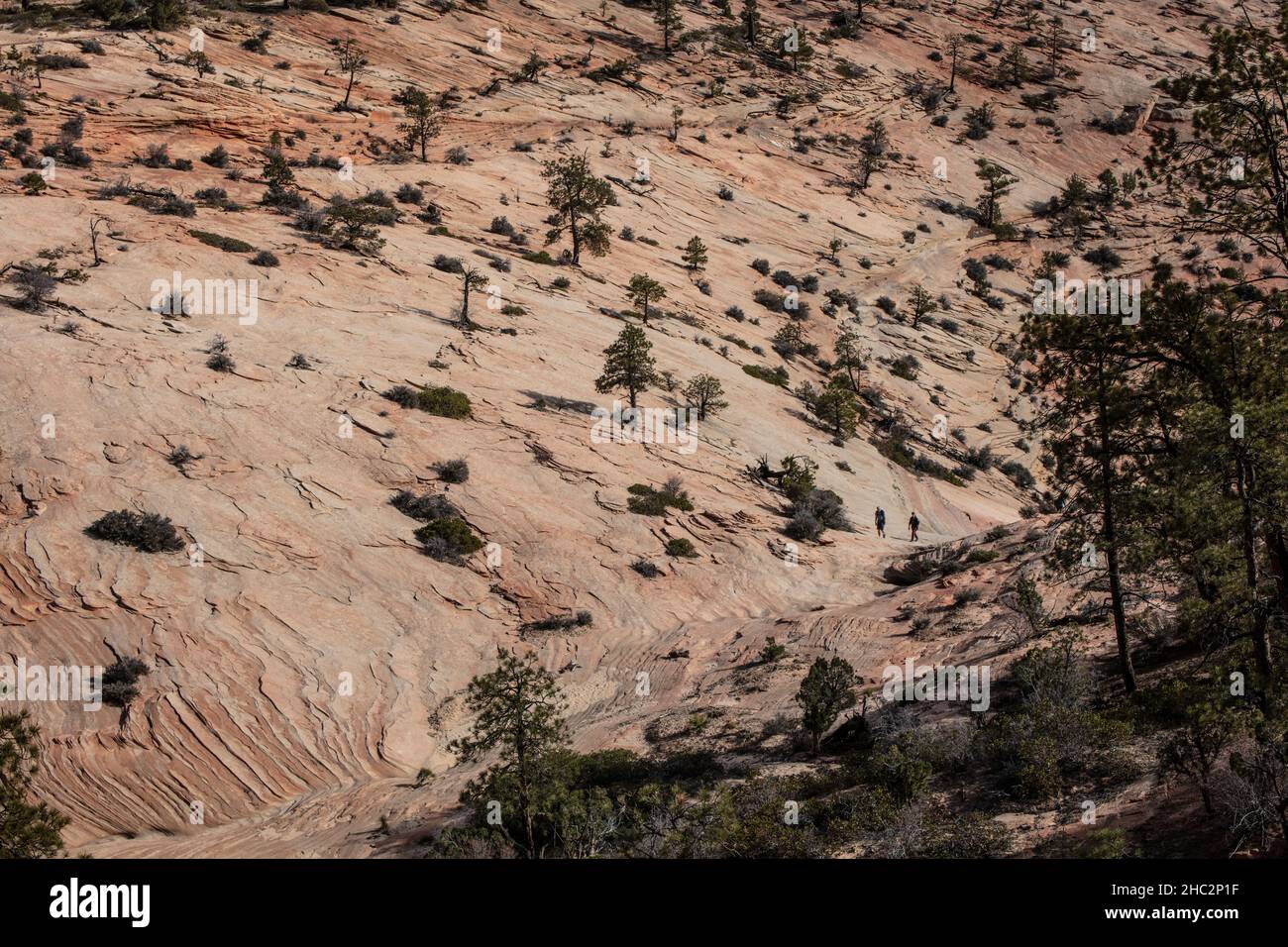 Zion National Park wilderness area - the Many Pools Valley Stock Photo ...