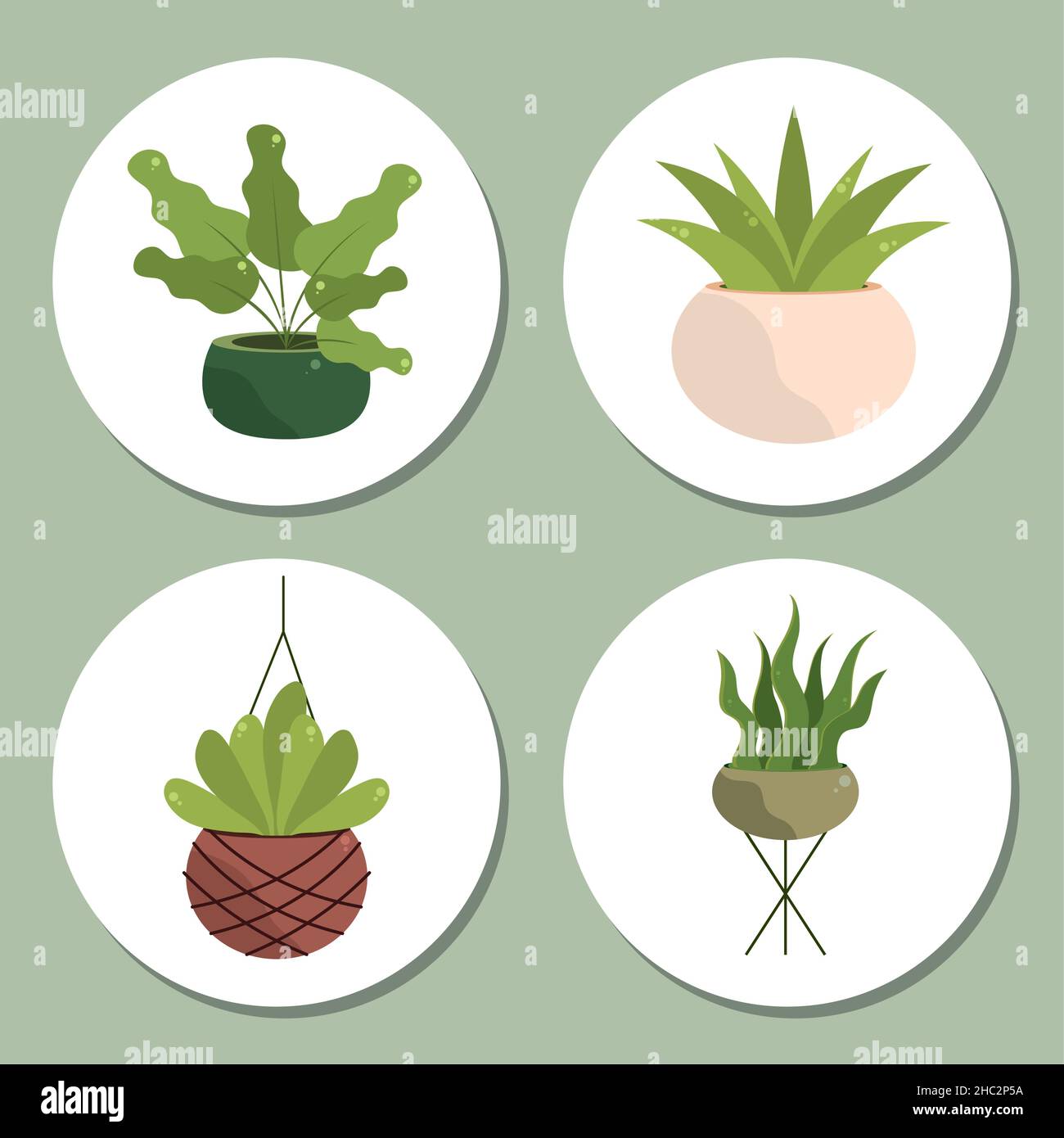 decorative houseplants icons Stock Vector Image & Art - Alamy