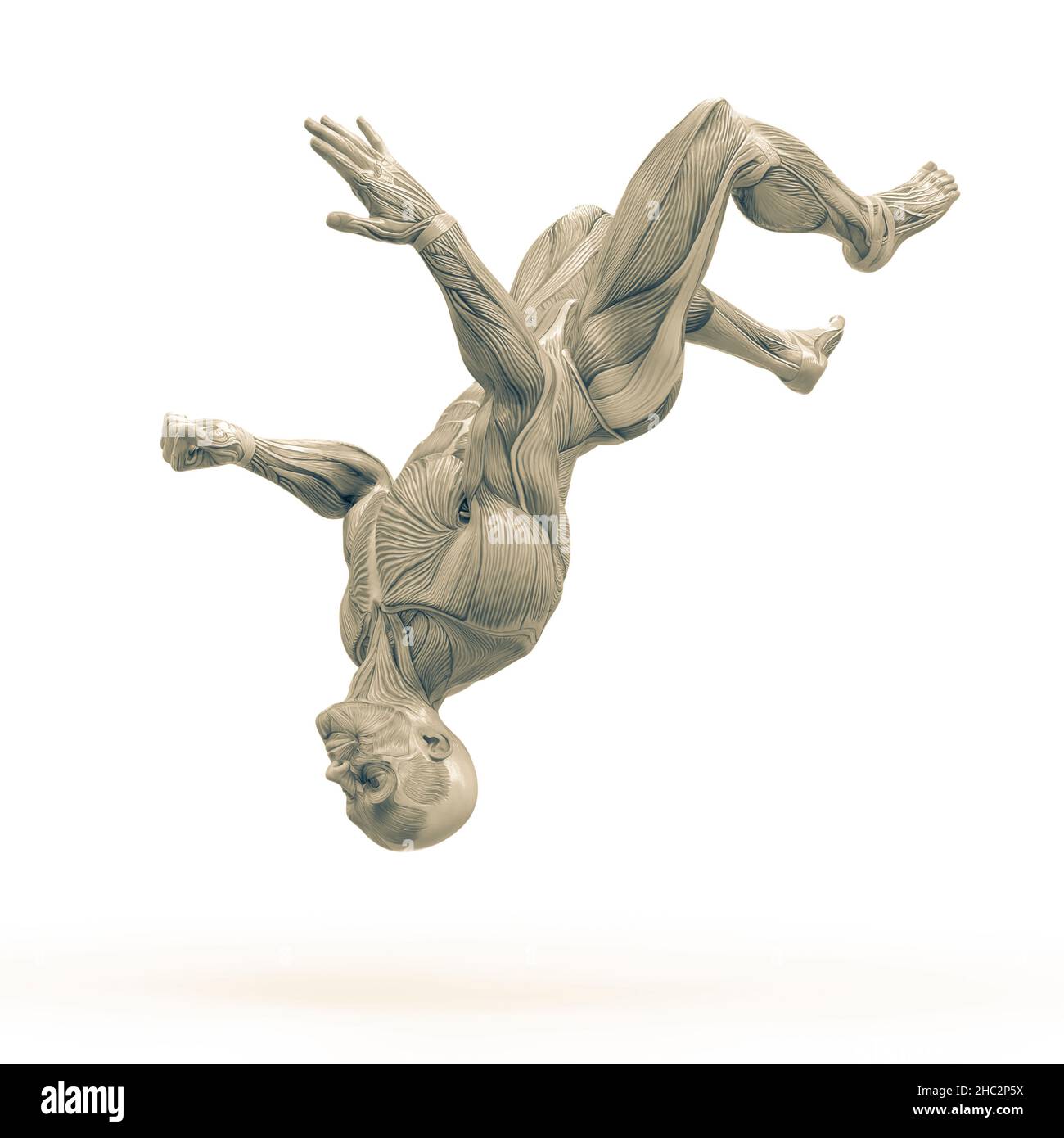 muscleman anatomy heroic body parkour jump pose three in white ...