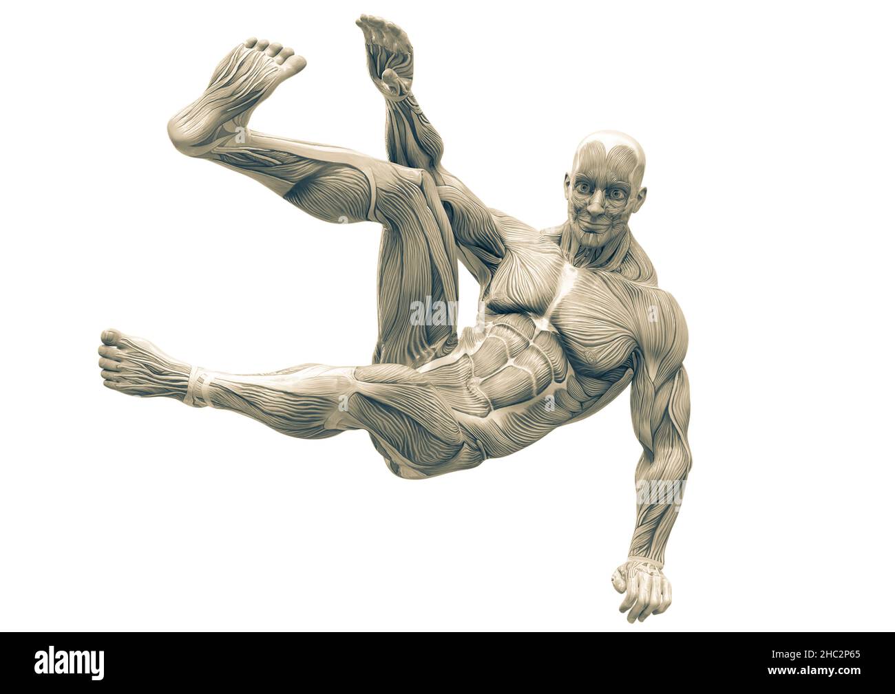 muscleman anatomy heroic body parkour jump pose two in white background ...