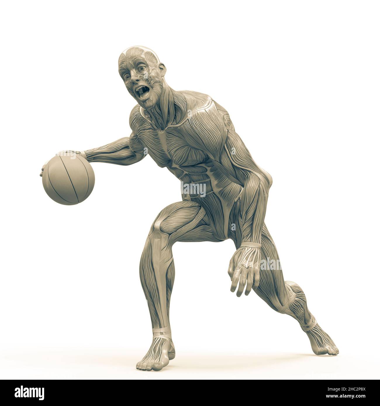 Basketball Body Vs Football Body at Elaine Osborn blog