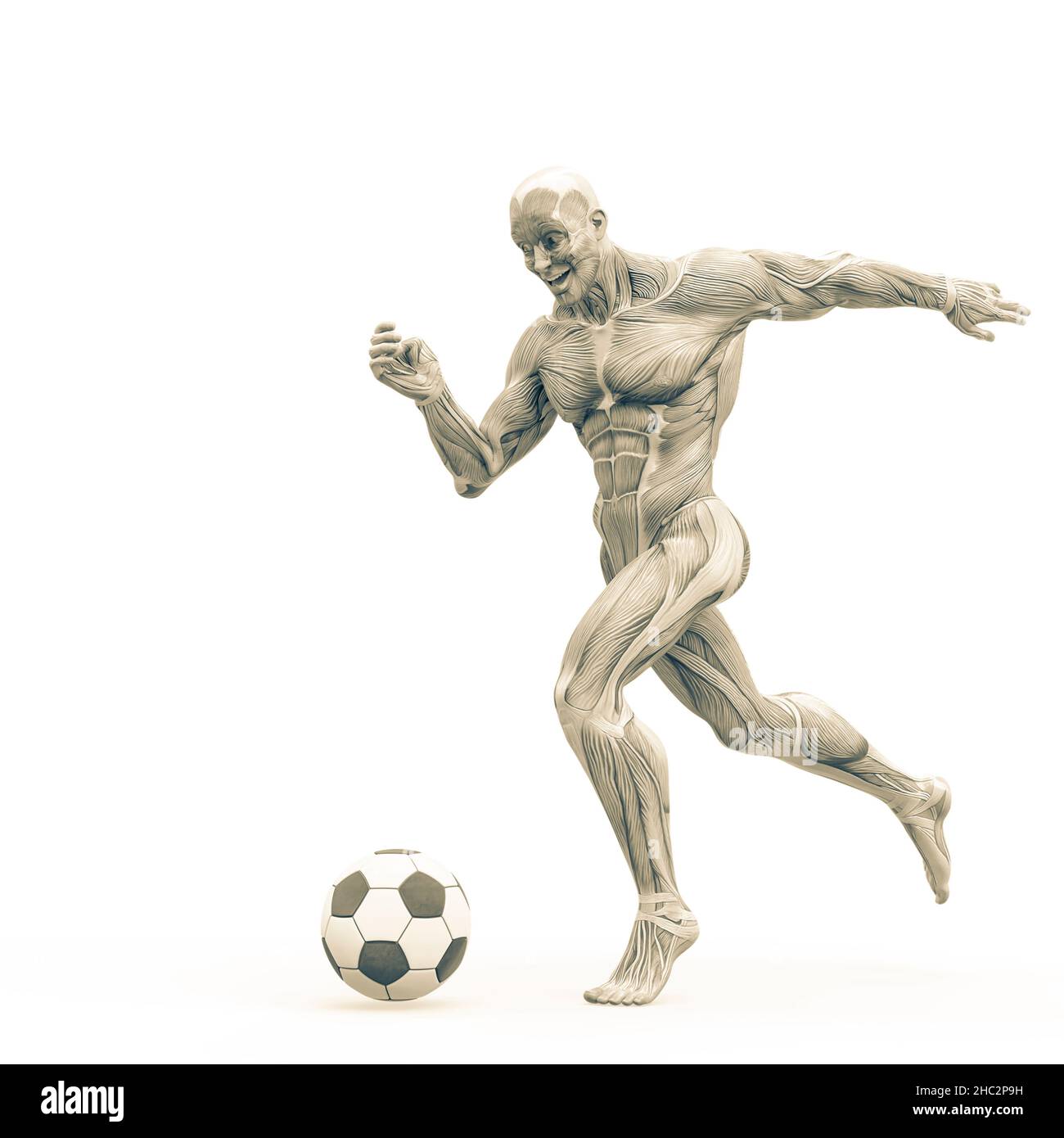 muscleman anatomy heroic body playing football in white background, 3d ...
