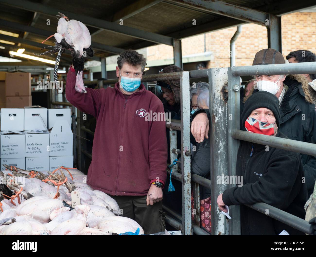 Poultry sale hi-res stock photography and images - Alamy