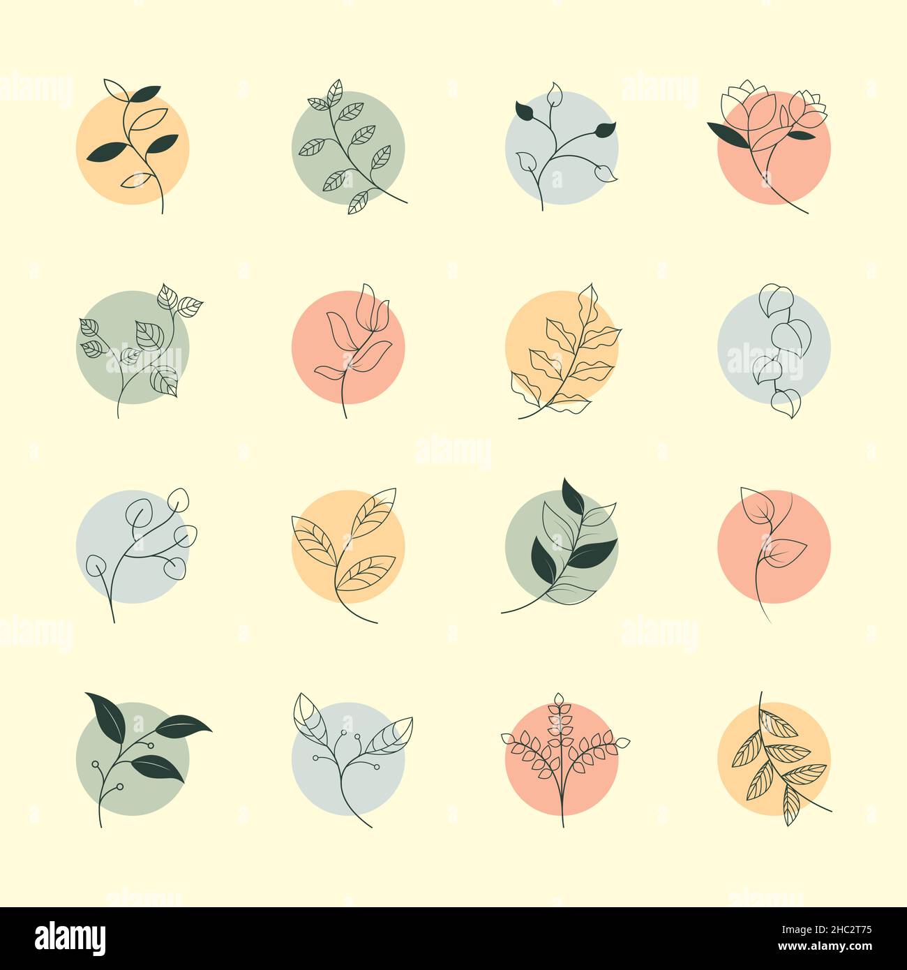 delicate leaves set Stock Vector Image & Art - Alamy