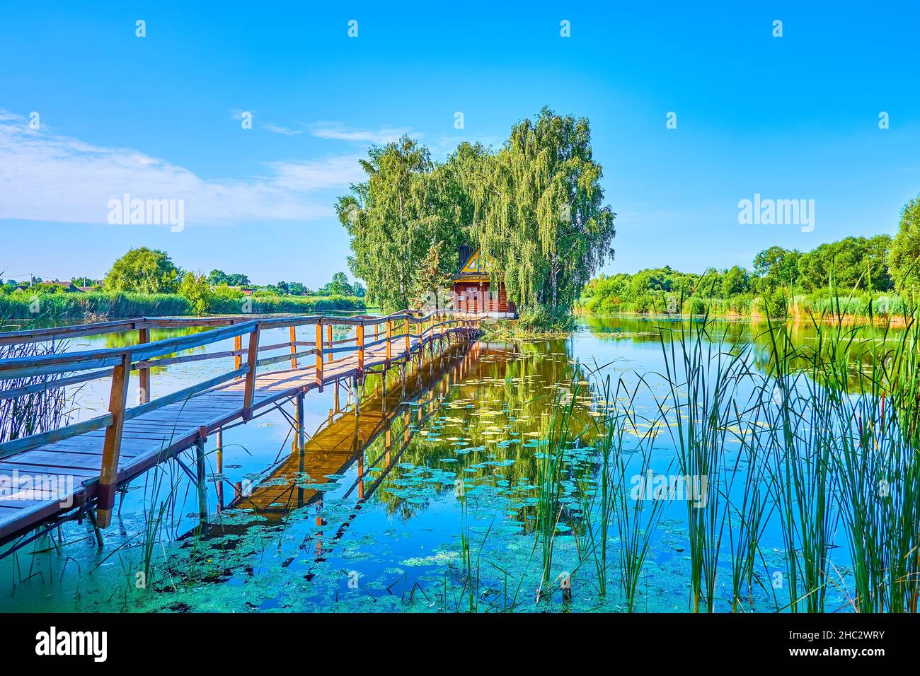 Walk along the bank of Kodnyanka River and enjoy the view on small ...