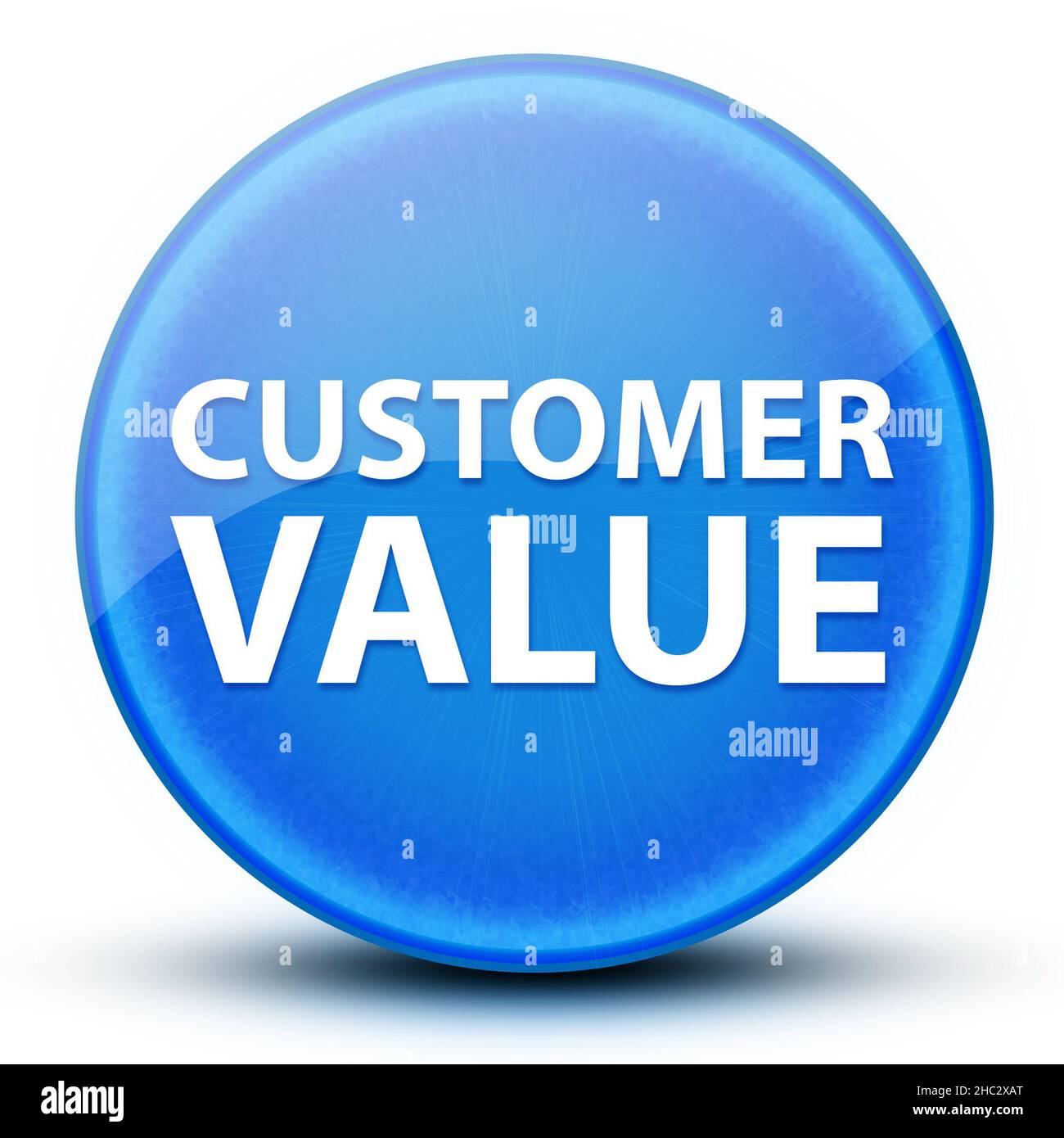 Customer Value eyeball glossy elegant blue round button abstract ...