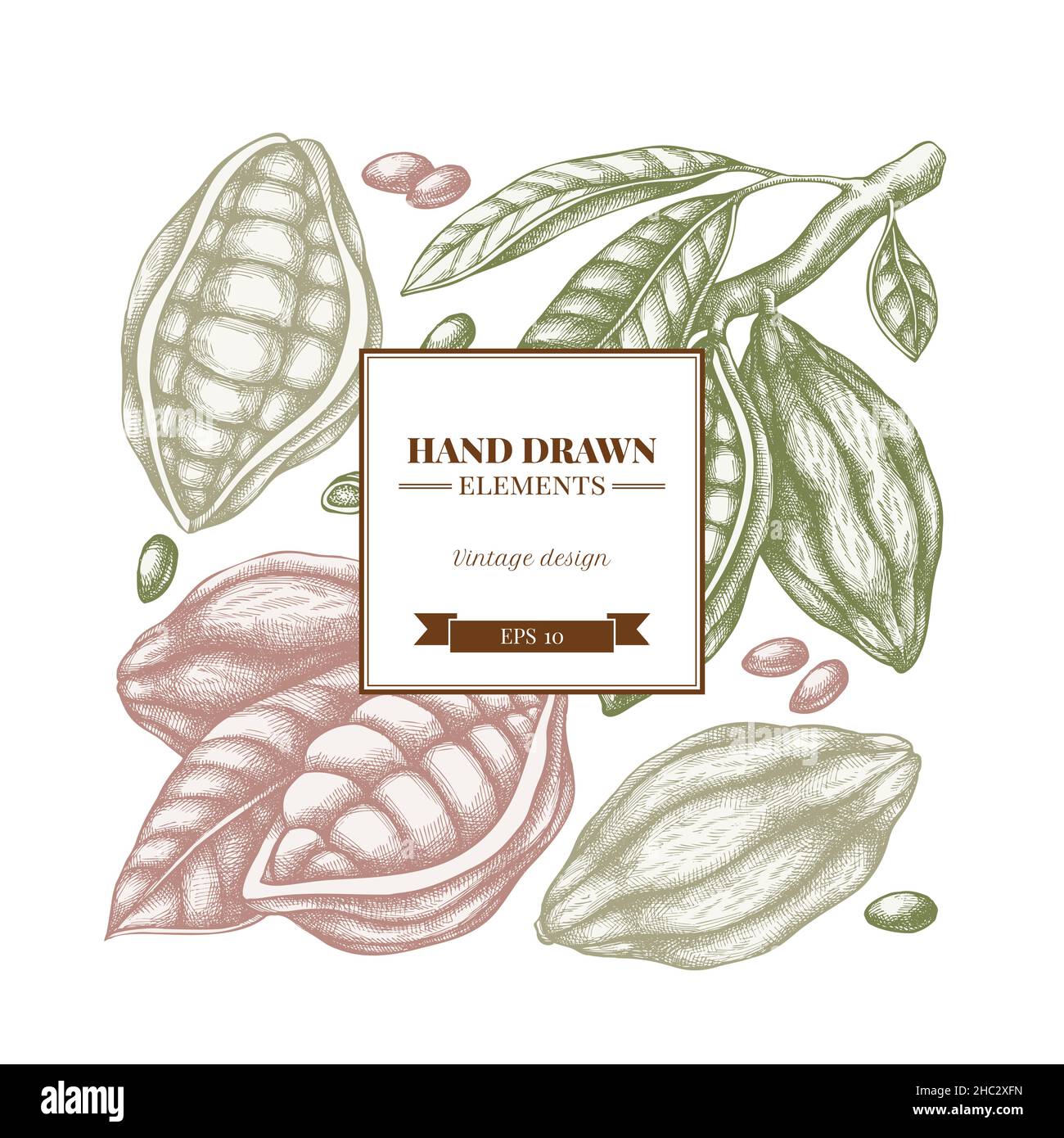 Square design with pastel cocoa beans, cocoa Stock Vector Image & Art ...